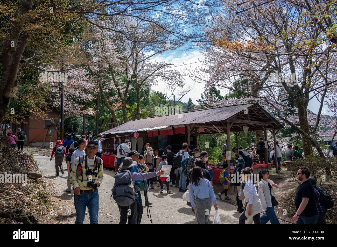 View of tourists at the Mount Yoshino Hiking trails captured during the ...