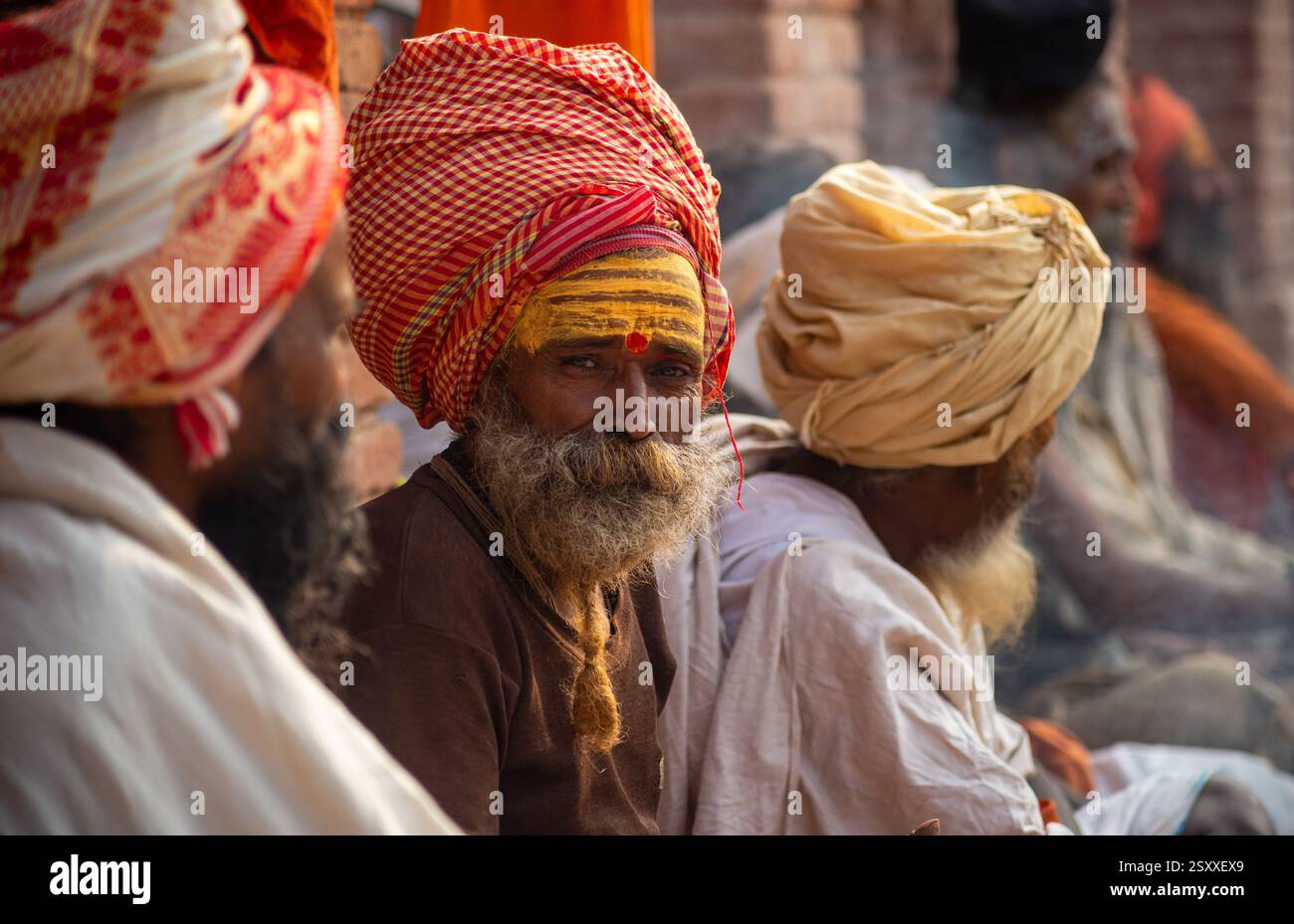 A holy man or sadhus poses for the photo during the Shivaratri festival ...