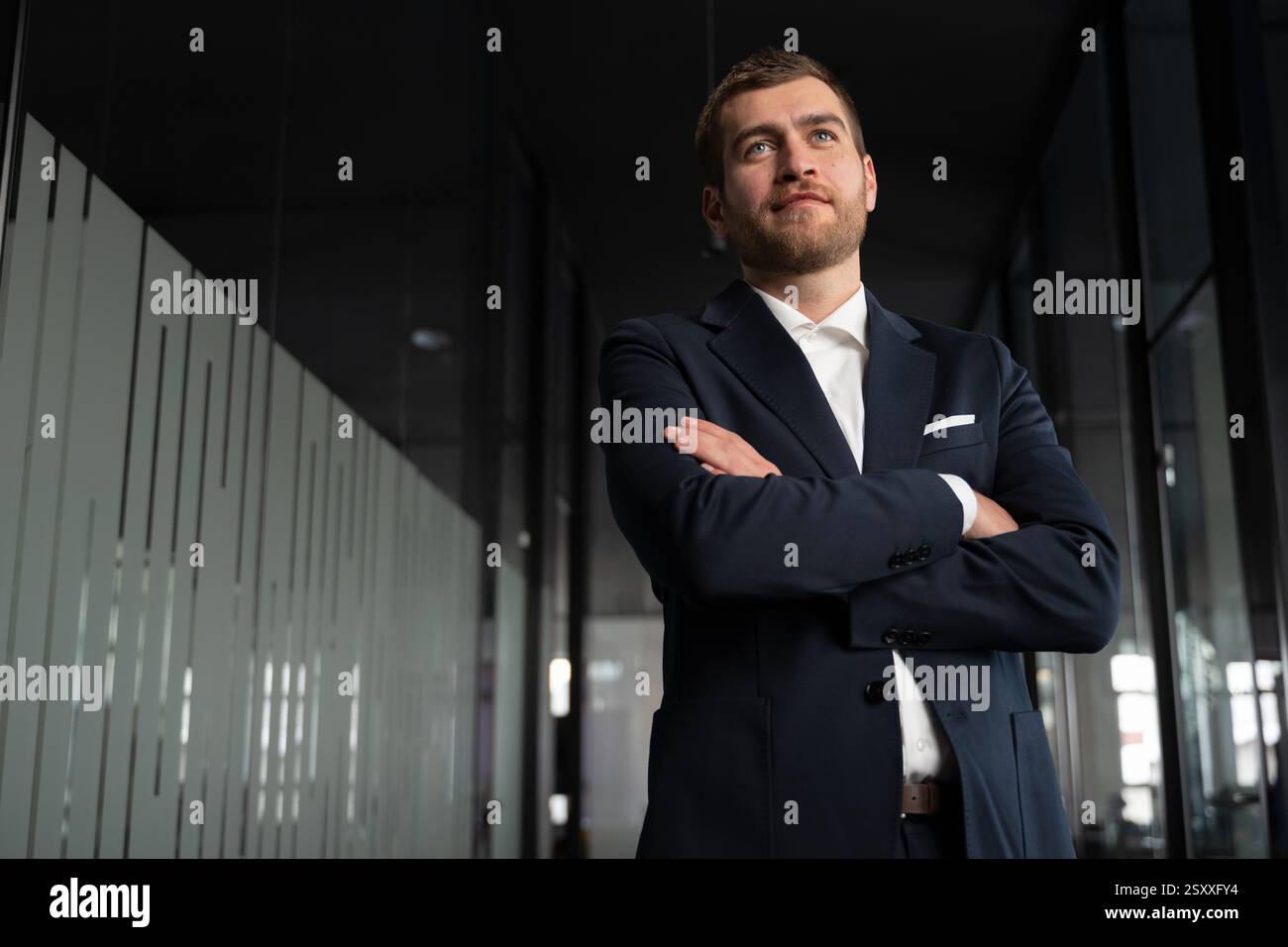 Confident businessman, executive, or entrepreneur in a navy blue suit ...