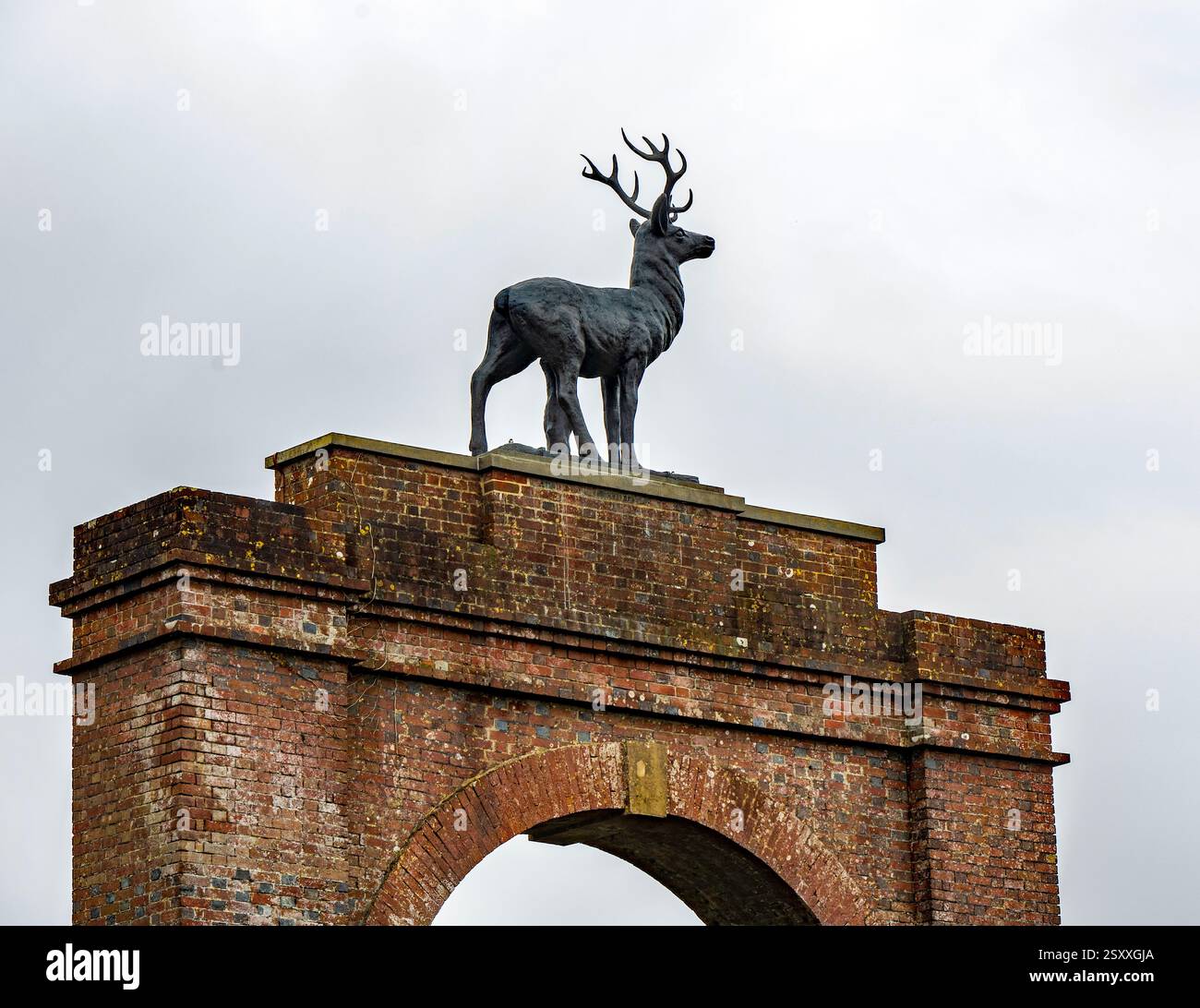 Stag gate hi-res stock photography and images - Alamy