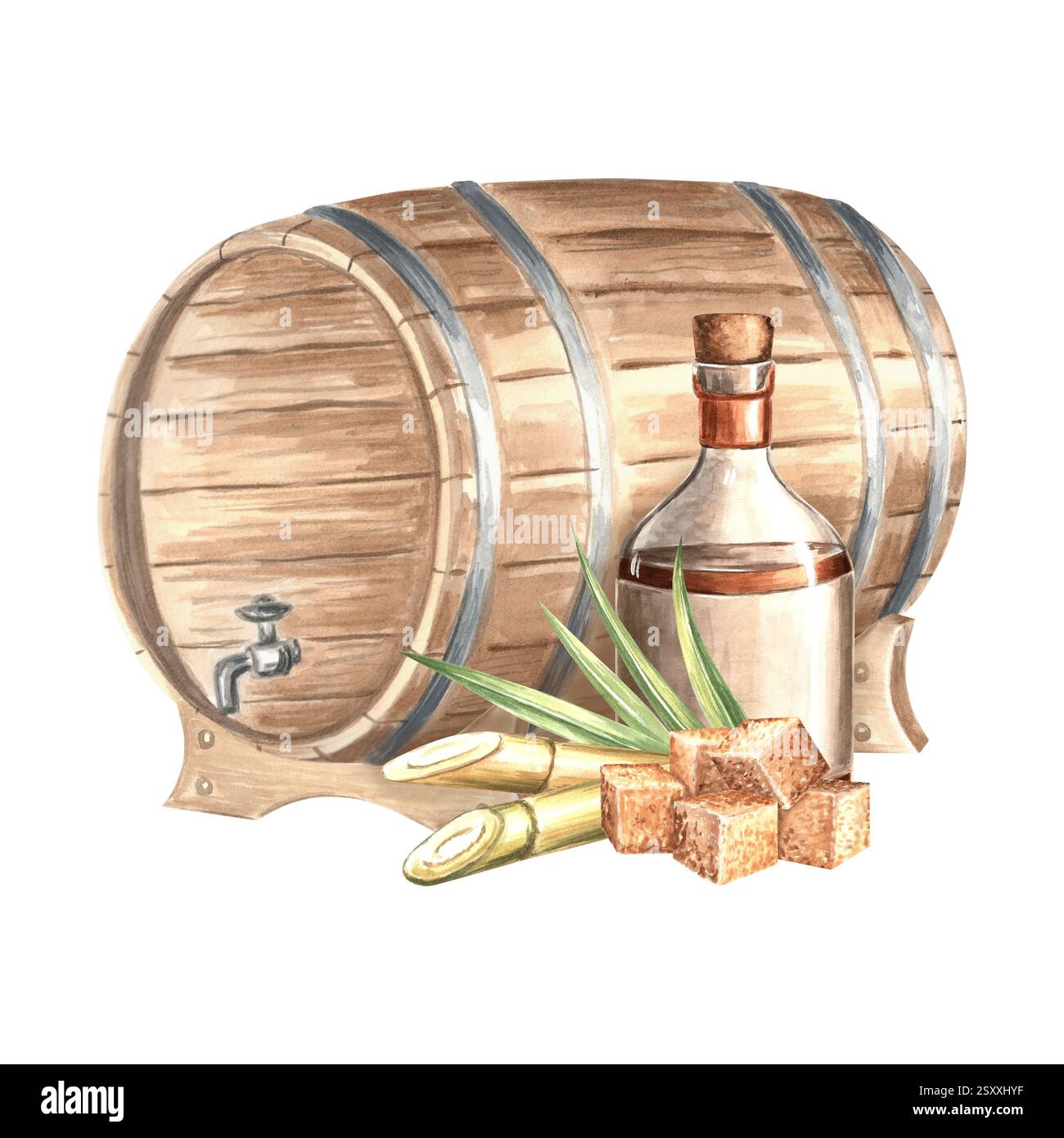 Bottle of rum and wooden barrel, sugar cane and brown sugar cubes ...