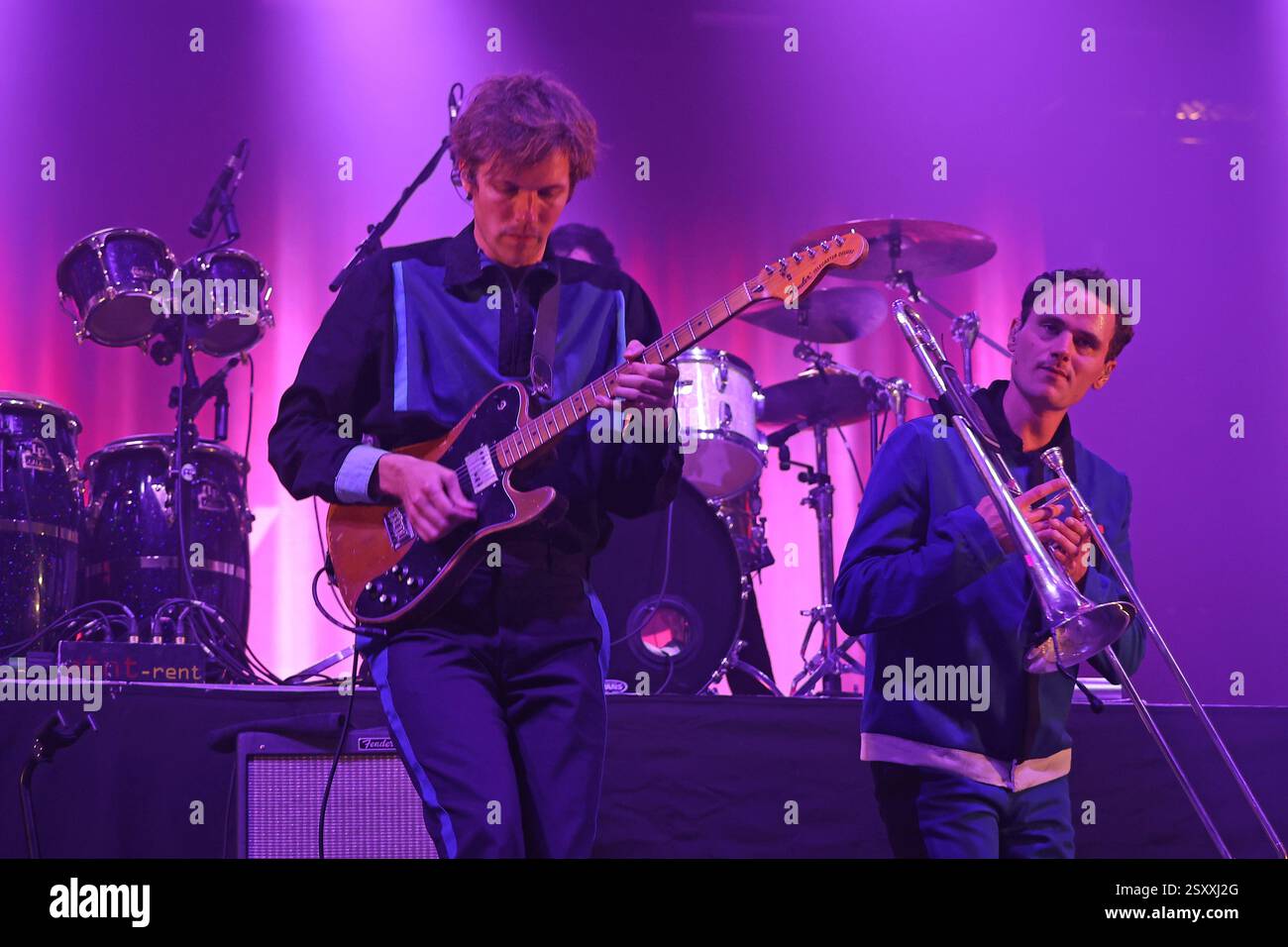 Jac van exter jungle by night hi-res stock photography and images - Alamy