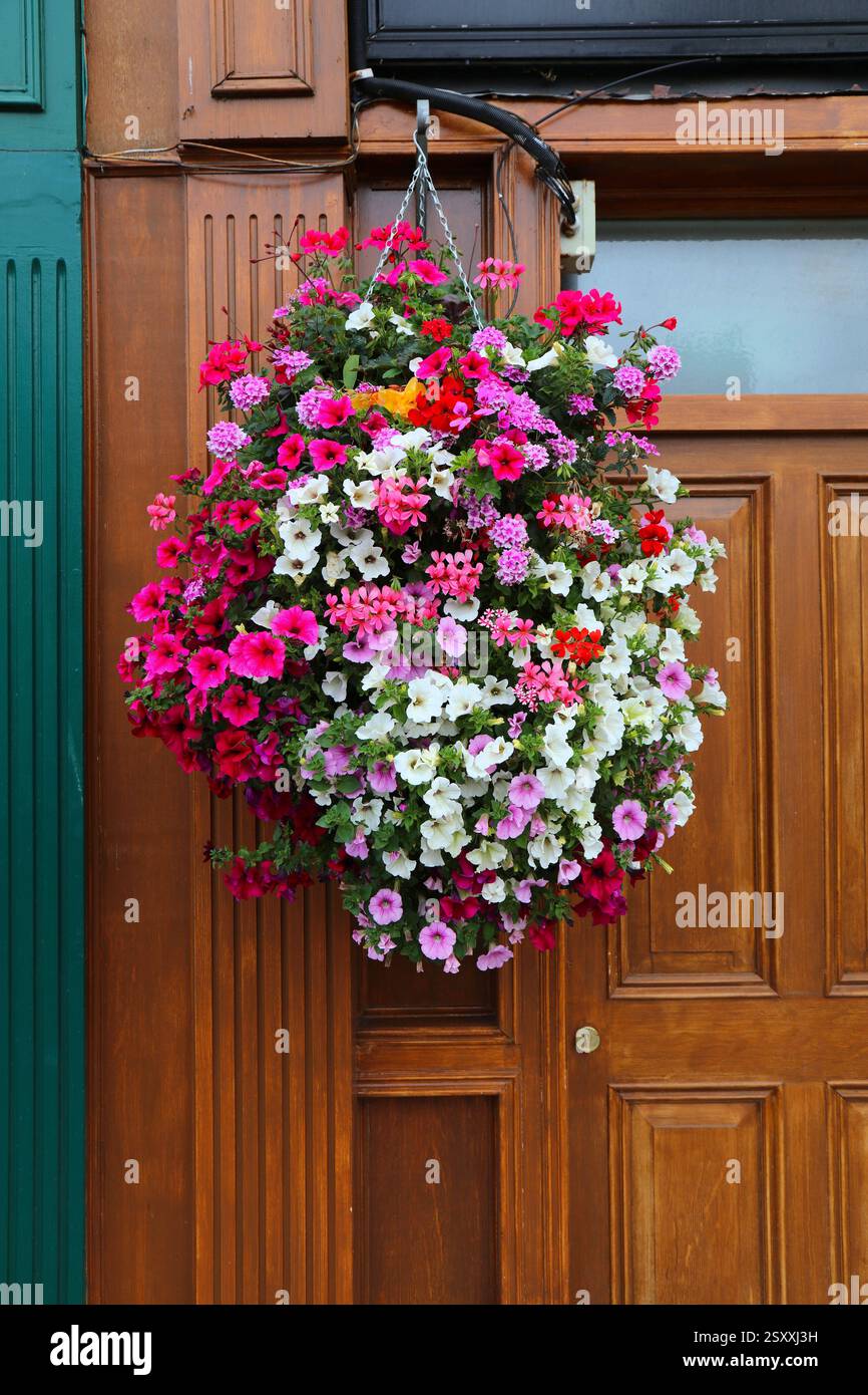 Flower decoration in summer in a pub in downtown Dublin, Ireland ...