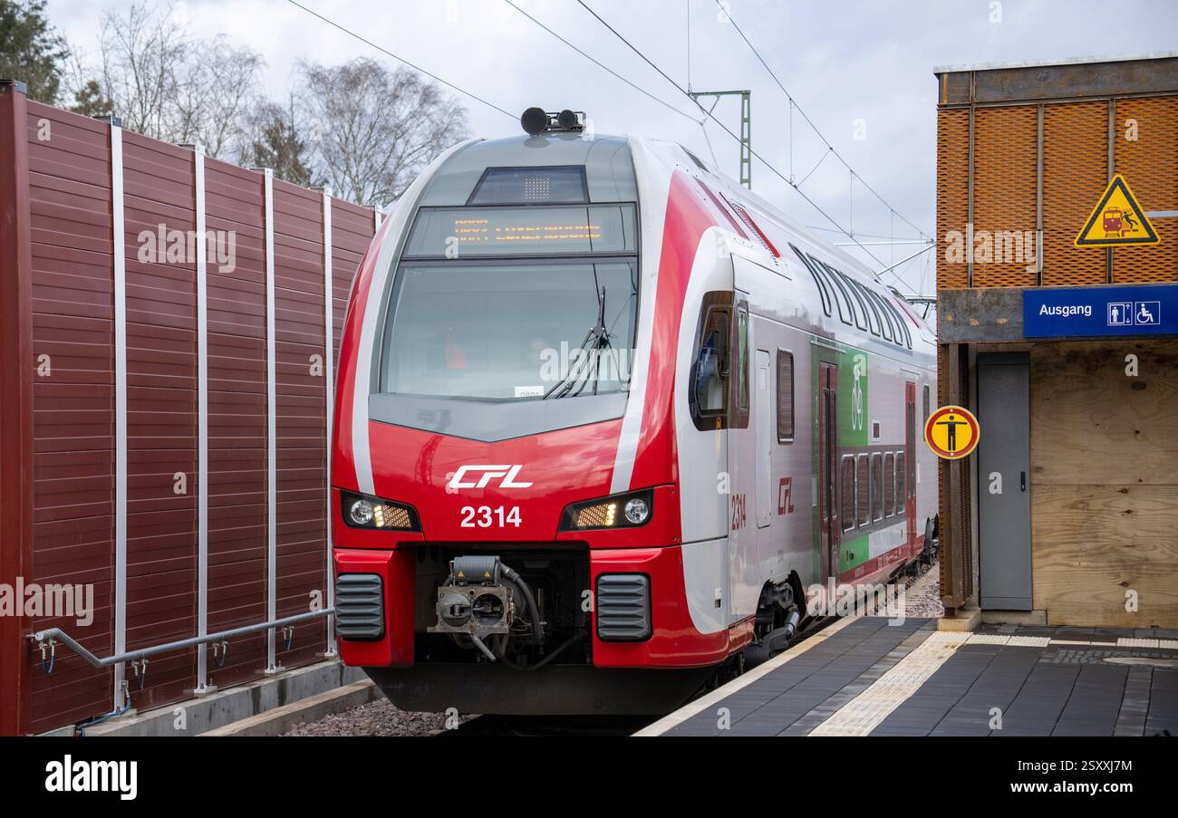 26 February 2025, Rhineland-Palatinate, Trier-Ehrang: A special train ...