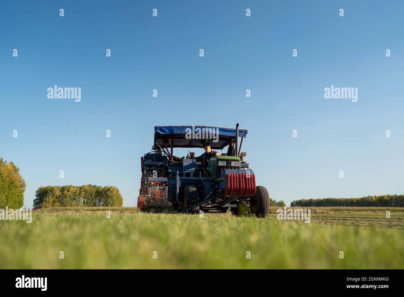 The Use of Harvesting Equipment in Action on a Productive Farm for Crop ...