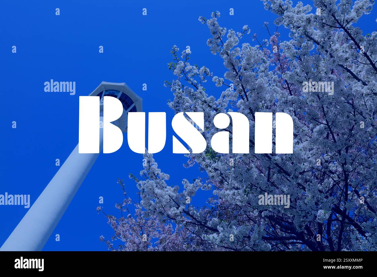 Busan, South Korea. City name modern photo postcard. Travel destination ...