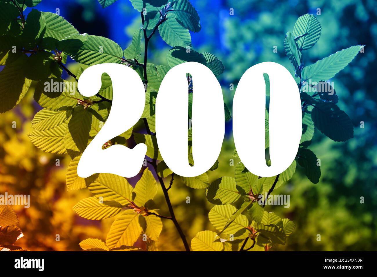 200 number sign. 200 milestone banner for social media. Number of likes ...