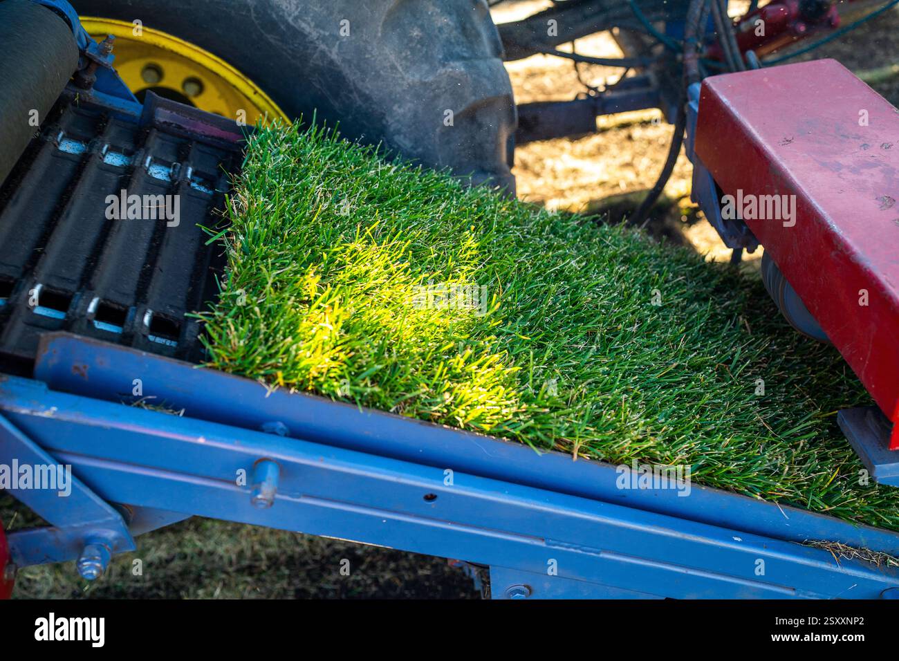 The Use of Harvesting Equipment in Action on a Productive Farm for Crop ...