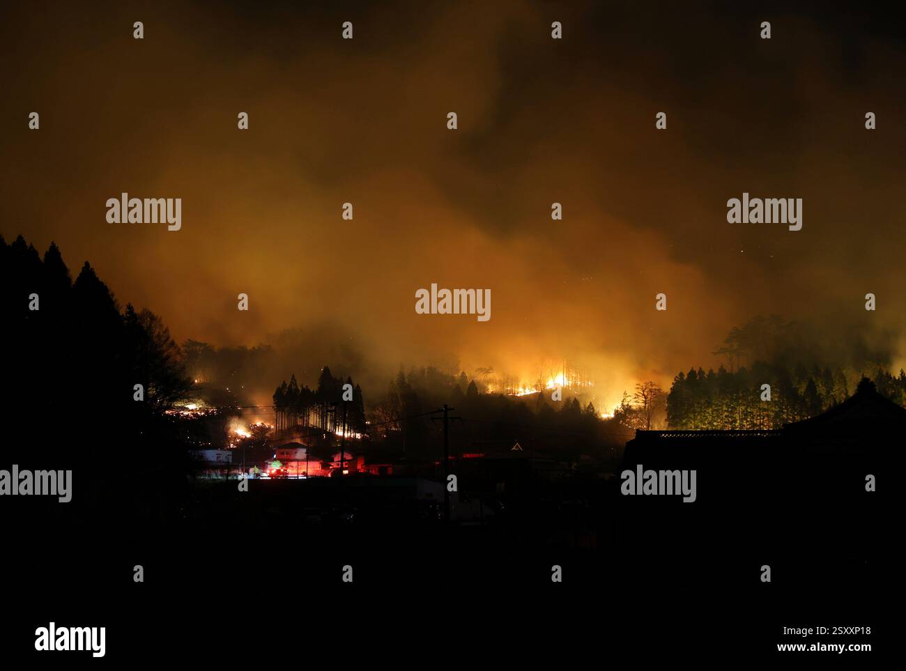 Photo shows forest fire, February 26, 2025,in Ofunato City, Iwate ...