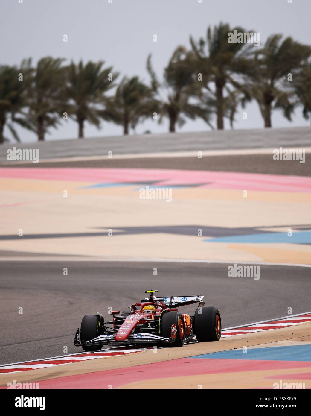 Sakhir, Bahrain, 26/02/2025, 44 HAMILTON Lewis (gbr), Scuderia Ferrari ...
