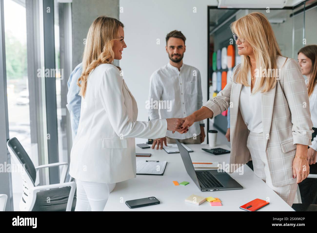 Making handshake. Group of professional business people is in the ...