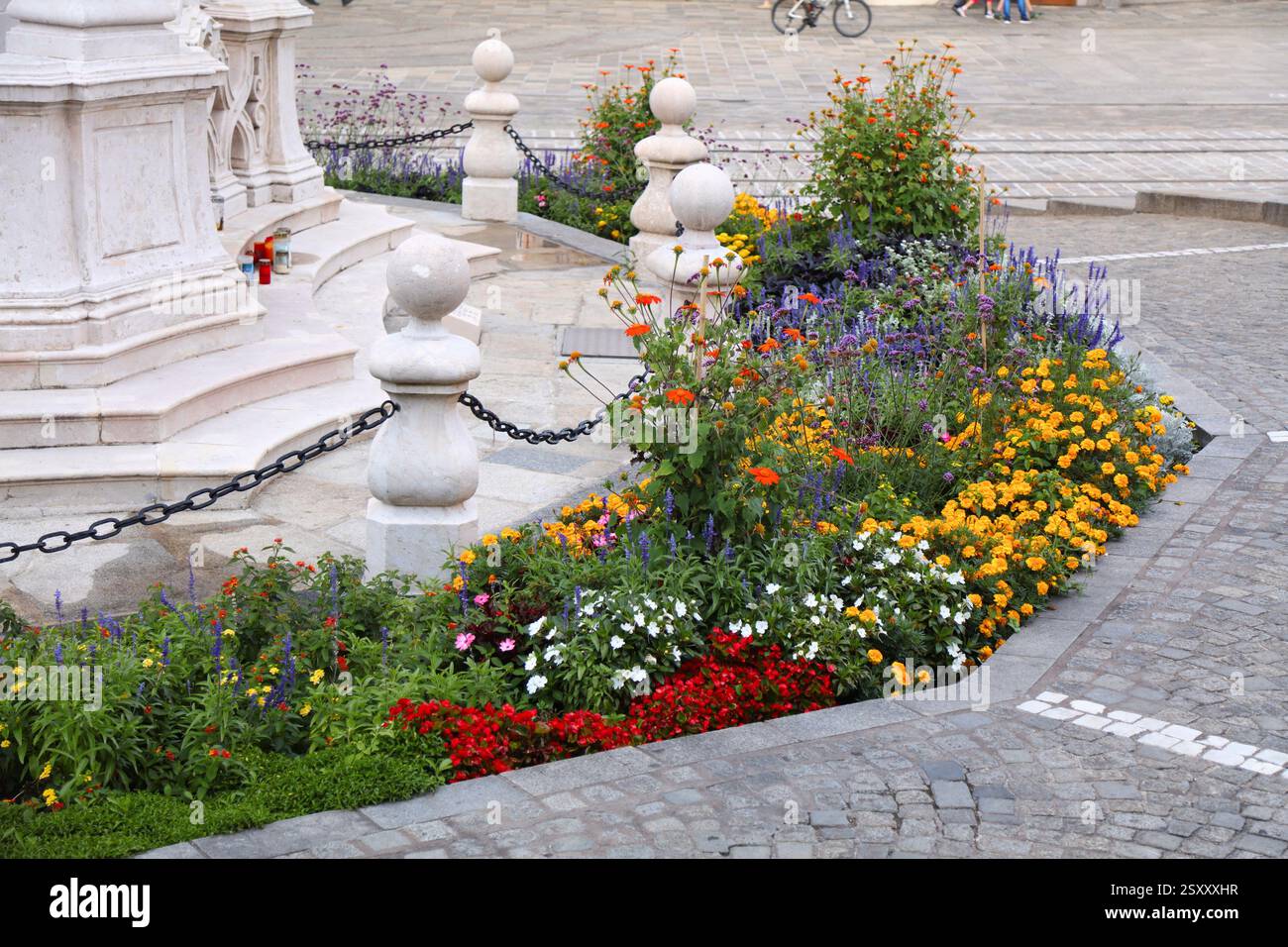 City flowerbed in Linz, Austria. Mixed species flower patch with ...