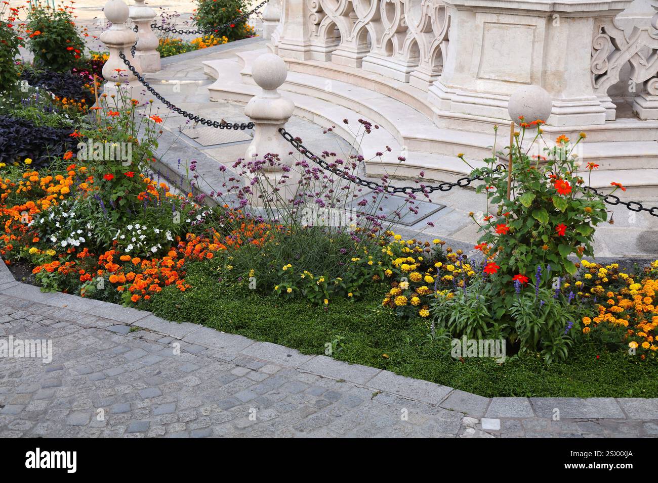 City flowerbed in Linz, Austria. Mixed species flower patch with ...