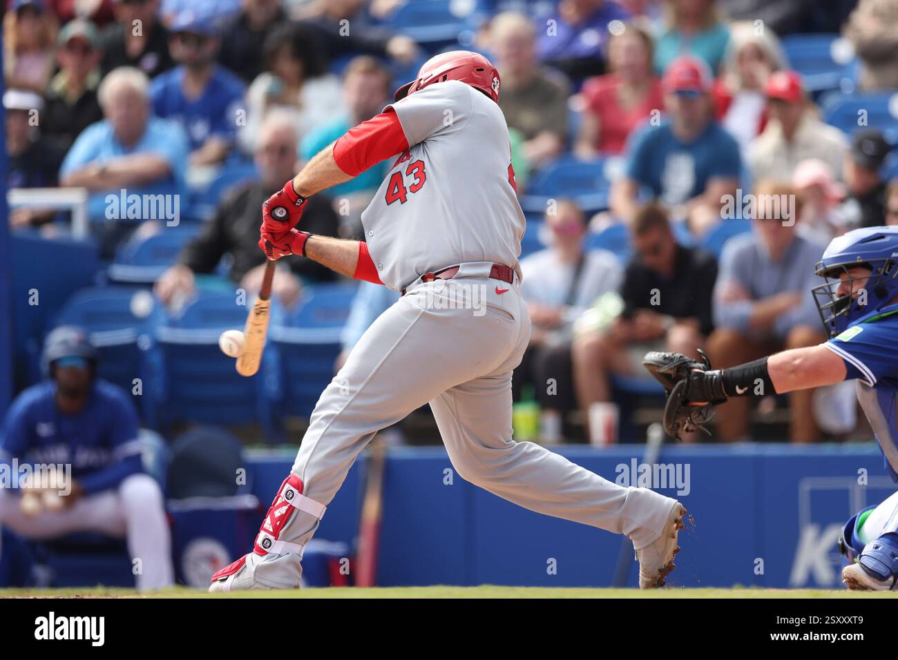 Dunedin, FL: St. Louis Cardinals catcher Pedro Pagés (43) flies out to ...