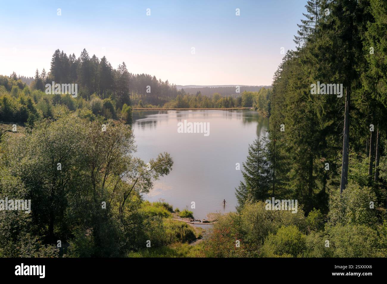 The circular walk in the Grumbach Valley, located in the Harz Mountains ...