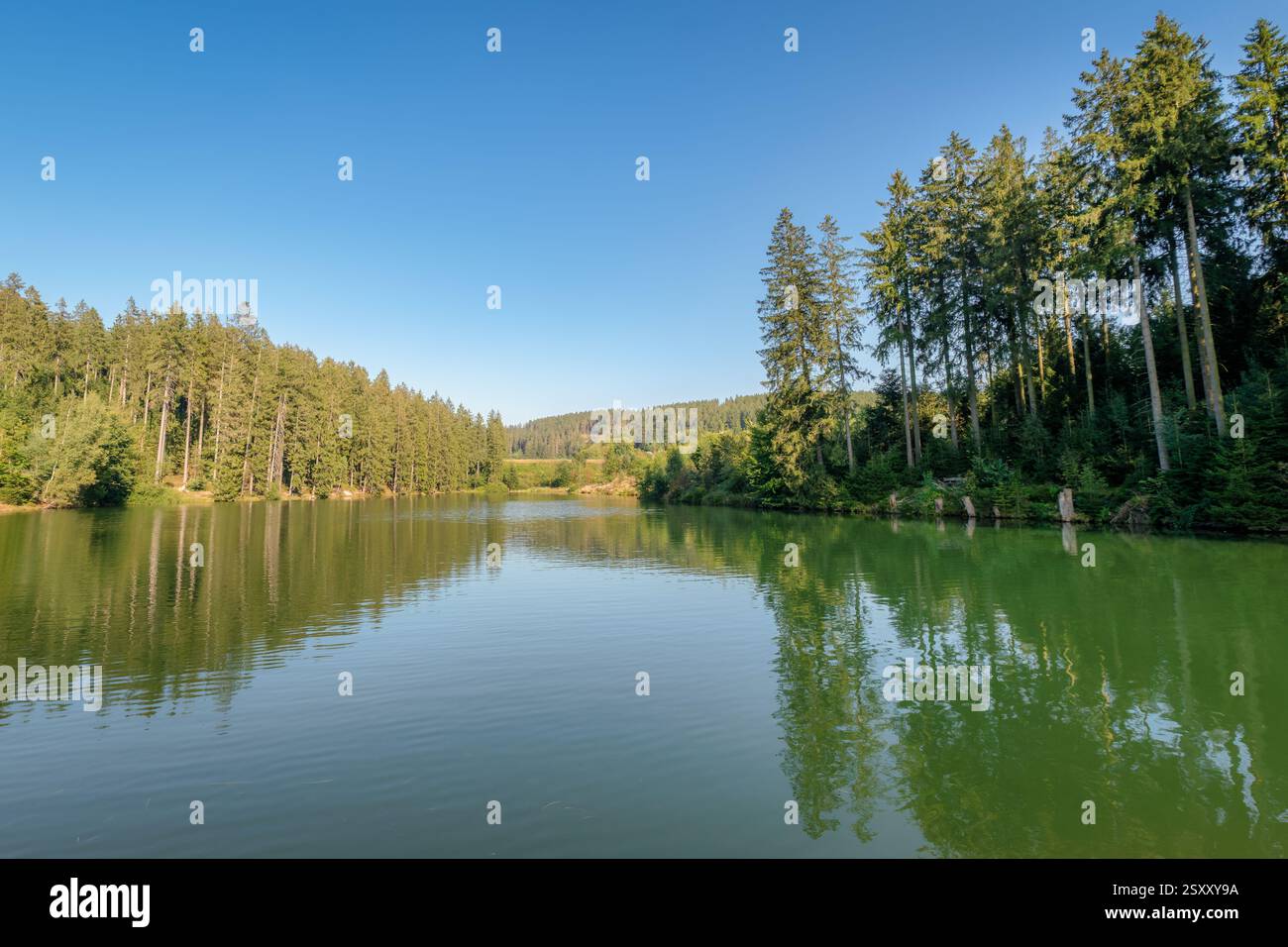 The circular walk in the Grumbach Valley, located in the Harz Mountains ...