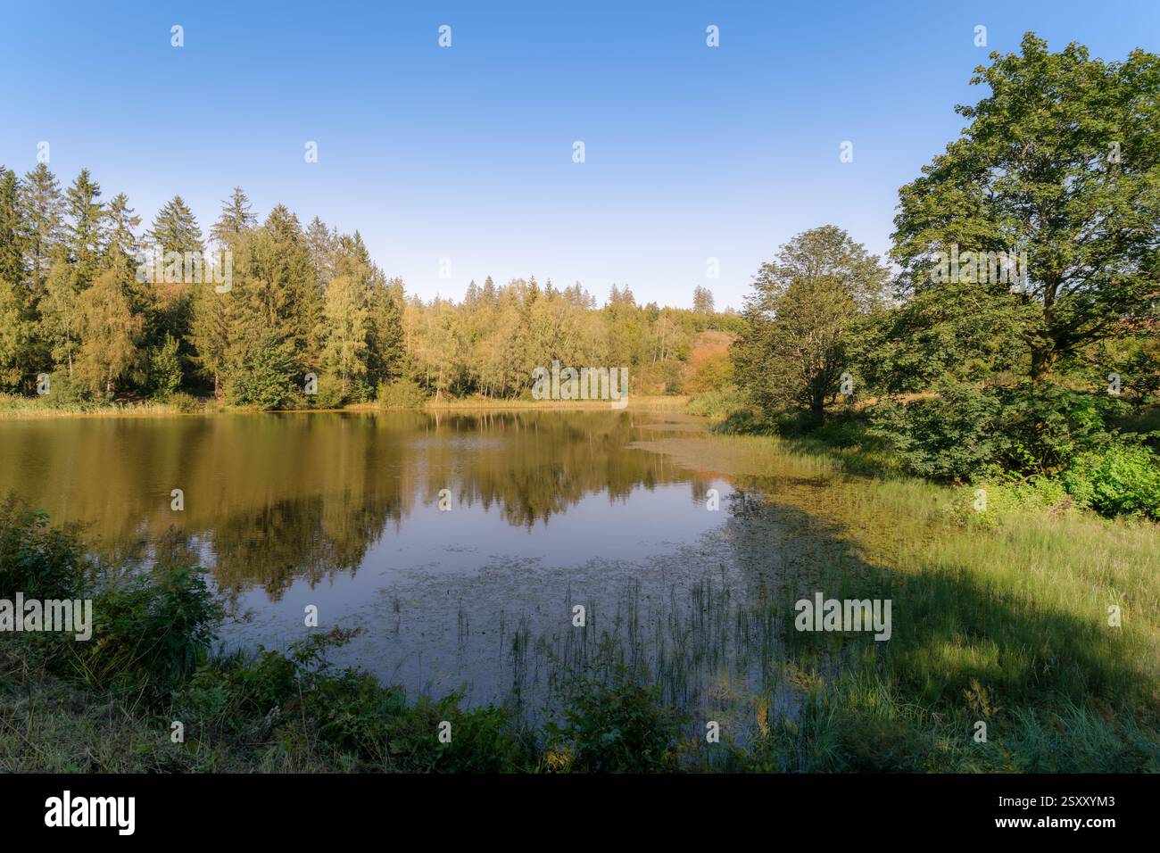 The circular walk in the Grumbach Valley, located in the Harz Mountains ...