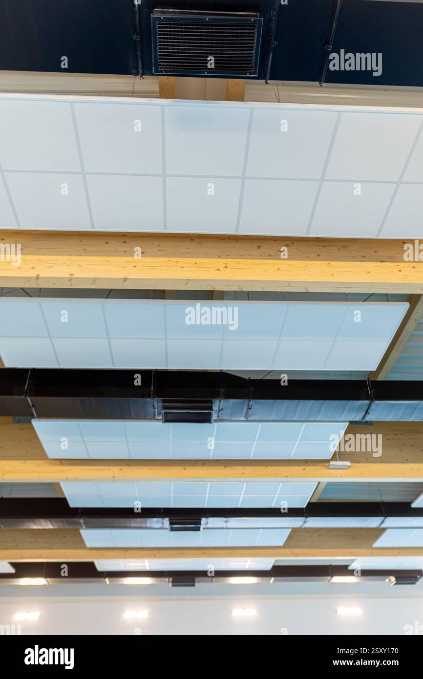 Exploring Modern Architectural Ceiling Design Featuring Beautiful and ...