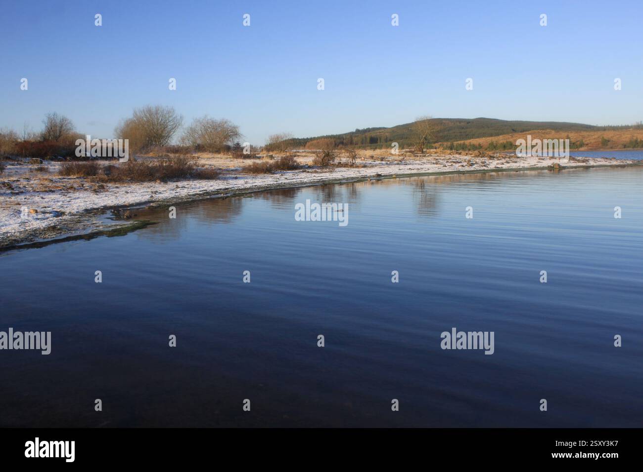 Galloway Forest Park In Winter Stock Photo - Alamy