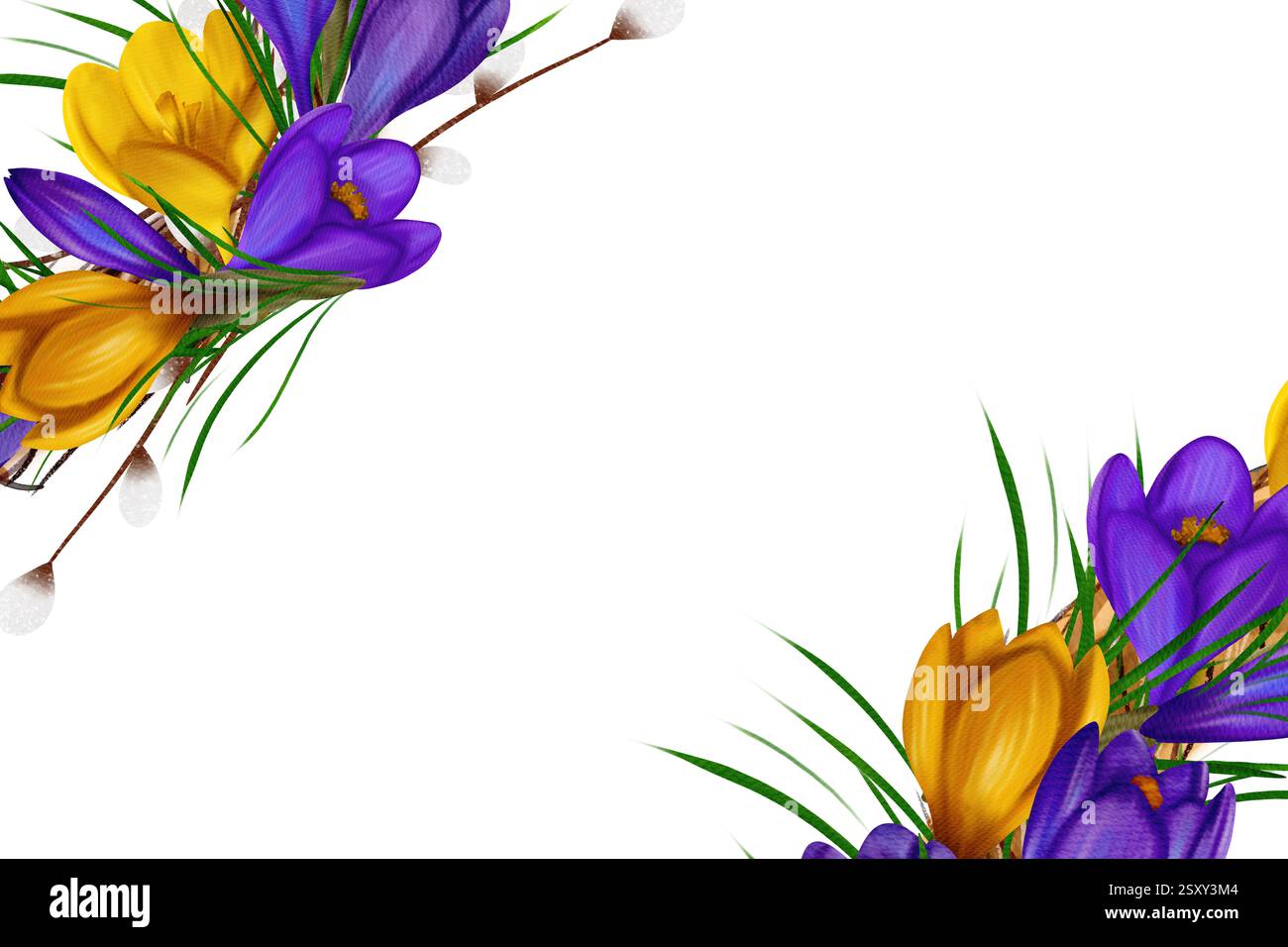 Easter horizontal rectangular frame, with yellow and violet crocuses ...