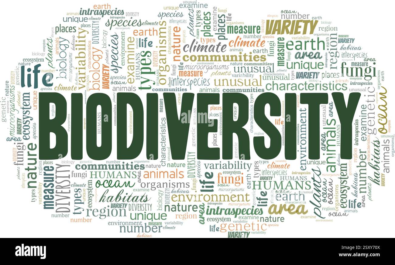 Biodiversity vector illustration word cloud isolated on a white ...