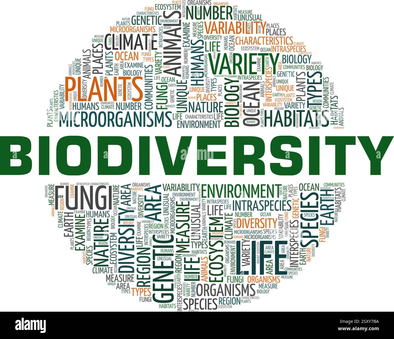Biodiversity vector illustration word cloud isolated on a white ...