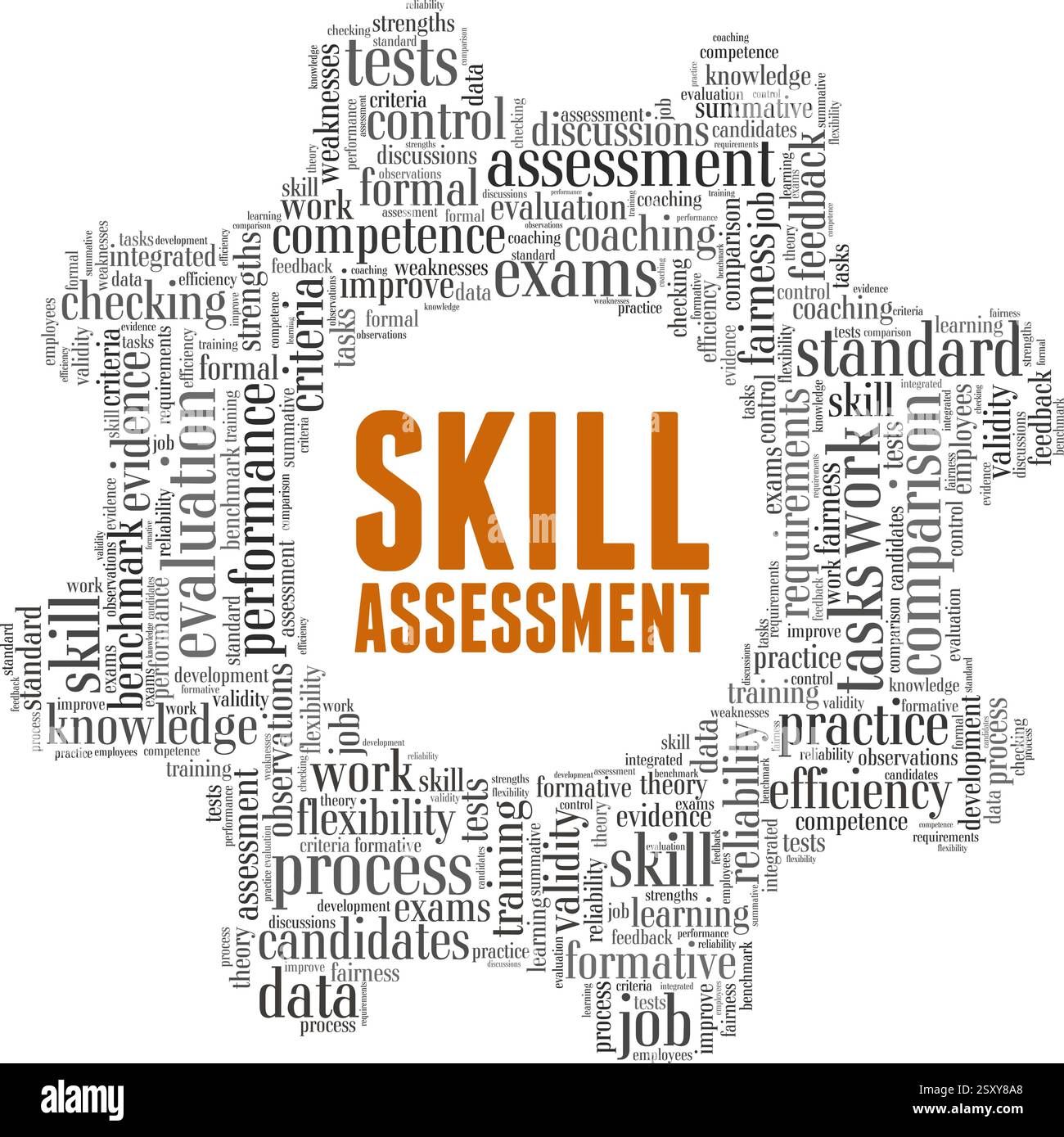 Skill Assessment vector illustration word cloud isolated on a white background Stock Vector ...