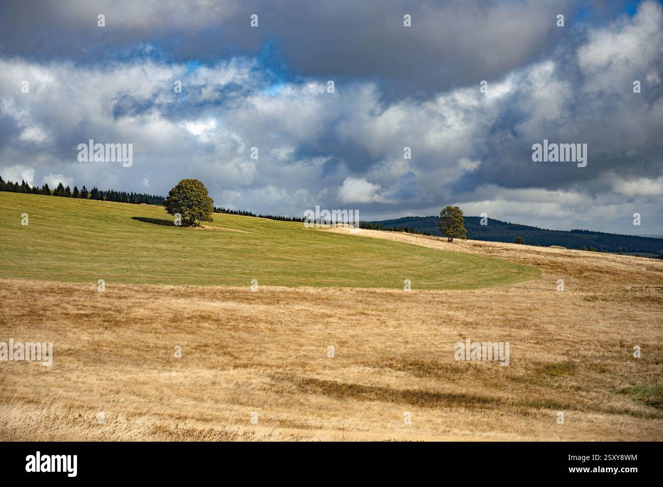 Rolling hills stretch across the Krusne Hory, with scattered trees ...