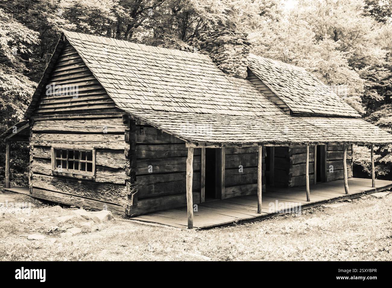 Log cabin with a porch and a slanted roof. The roof is made of wood ...