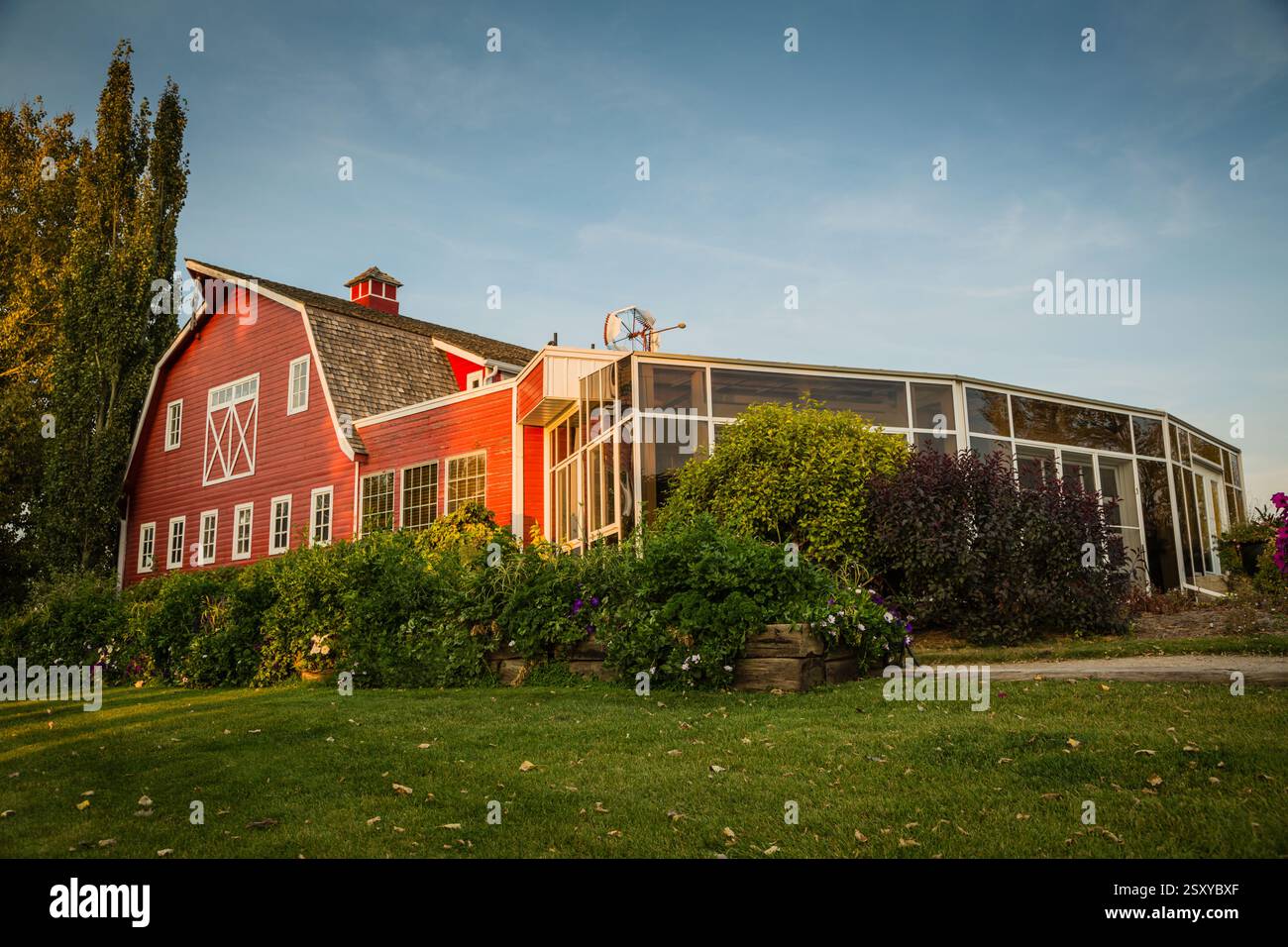 Red barn with a white roof. The barn is surrounded by a lush green ...