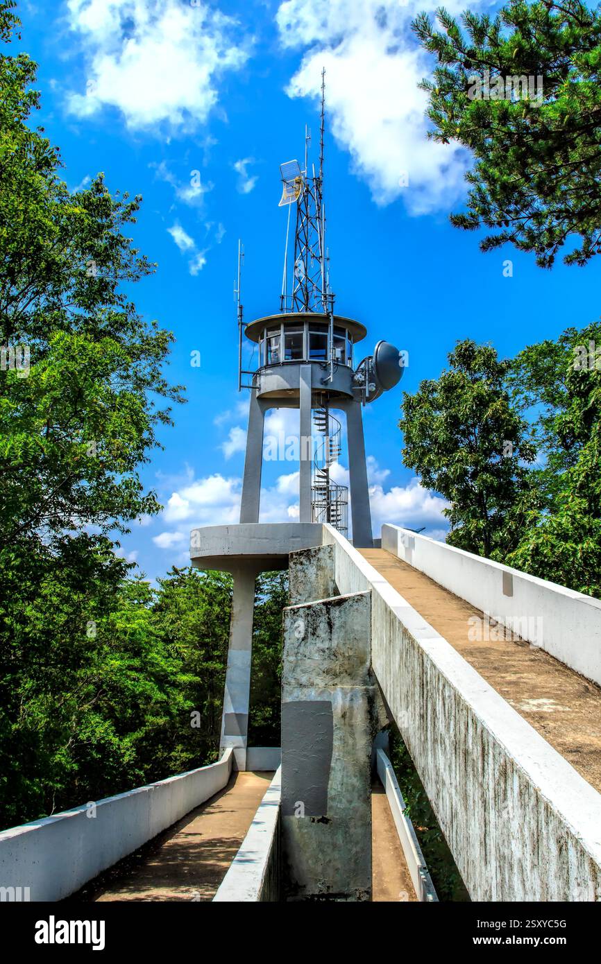 Tall tower with a ladder on it. The tower is white and has a green roof ...