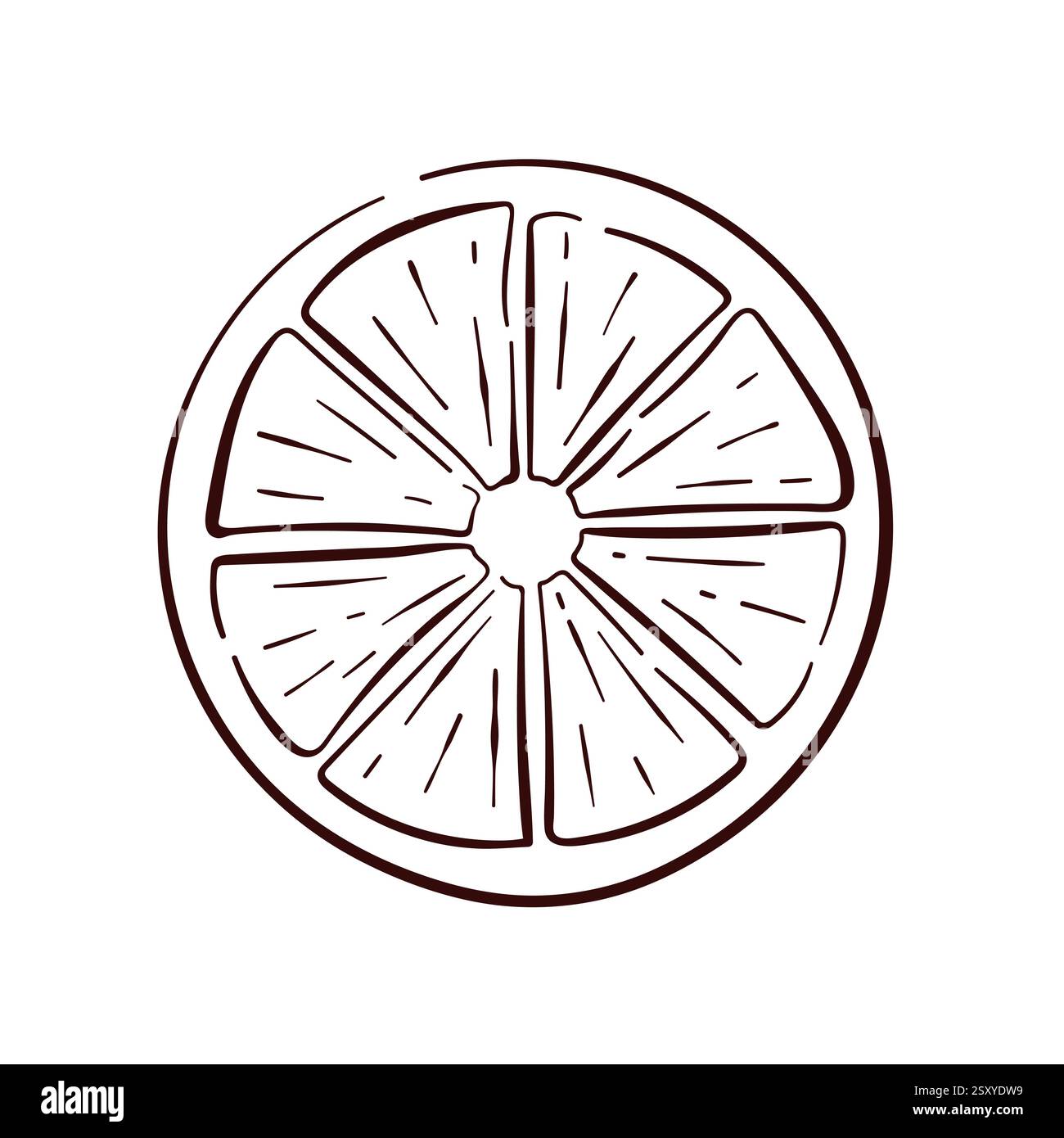 Lemon round slice in line art style. Tropical summer citrus fruit piece with segments. Design ...