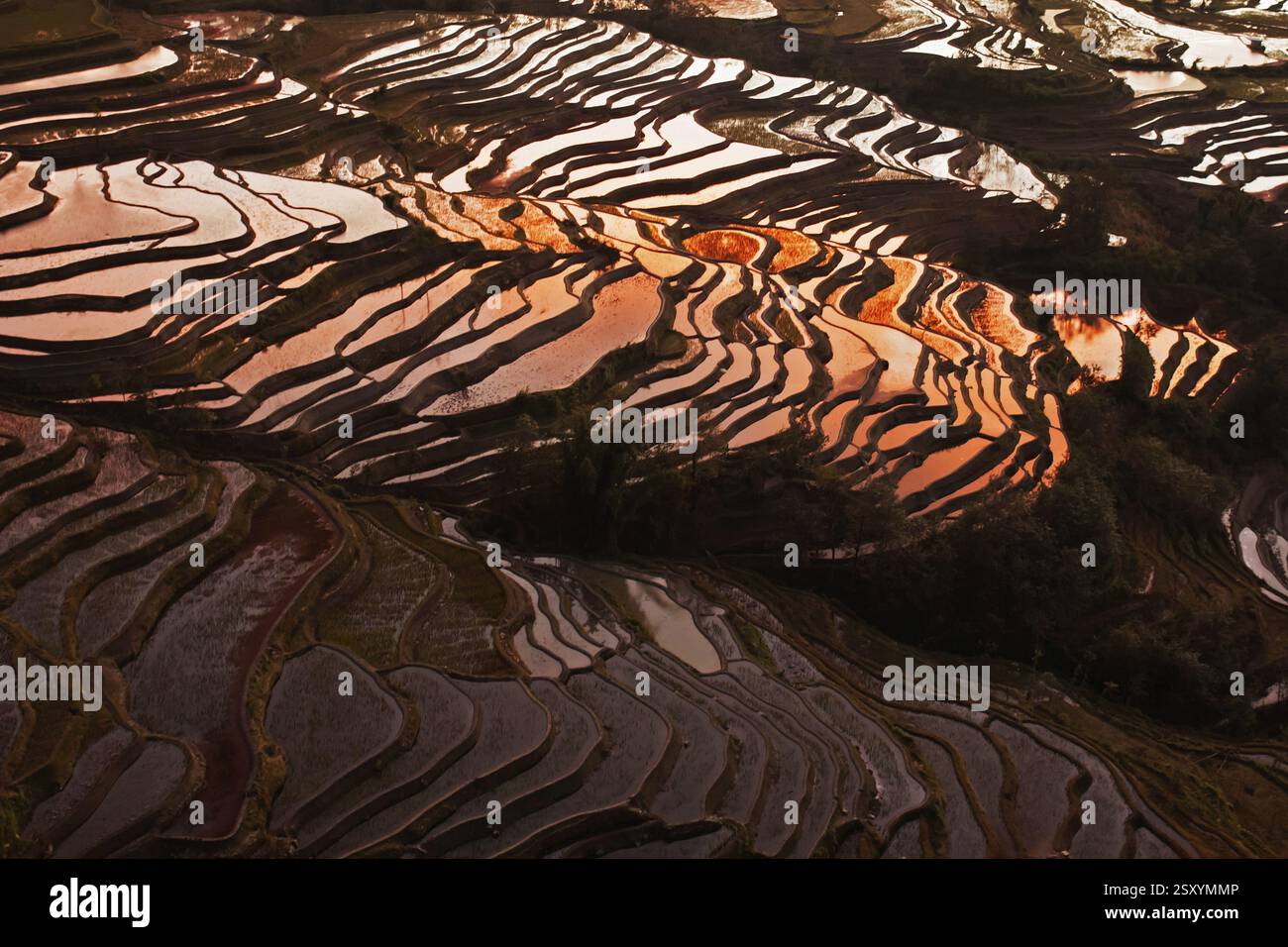Landscape rice field mountains hi-res stock photography and images - Alamy