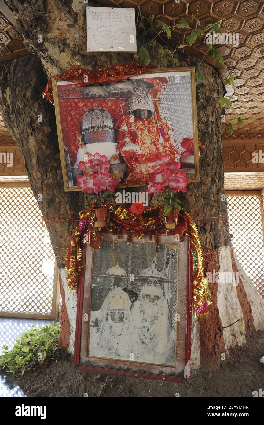Goddess frame in mata kheer bhawani temple, Srinagar, jammu Kashmir ...