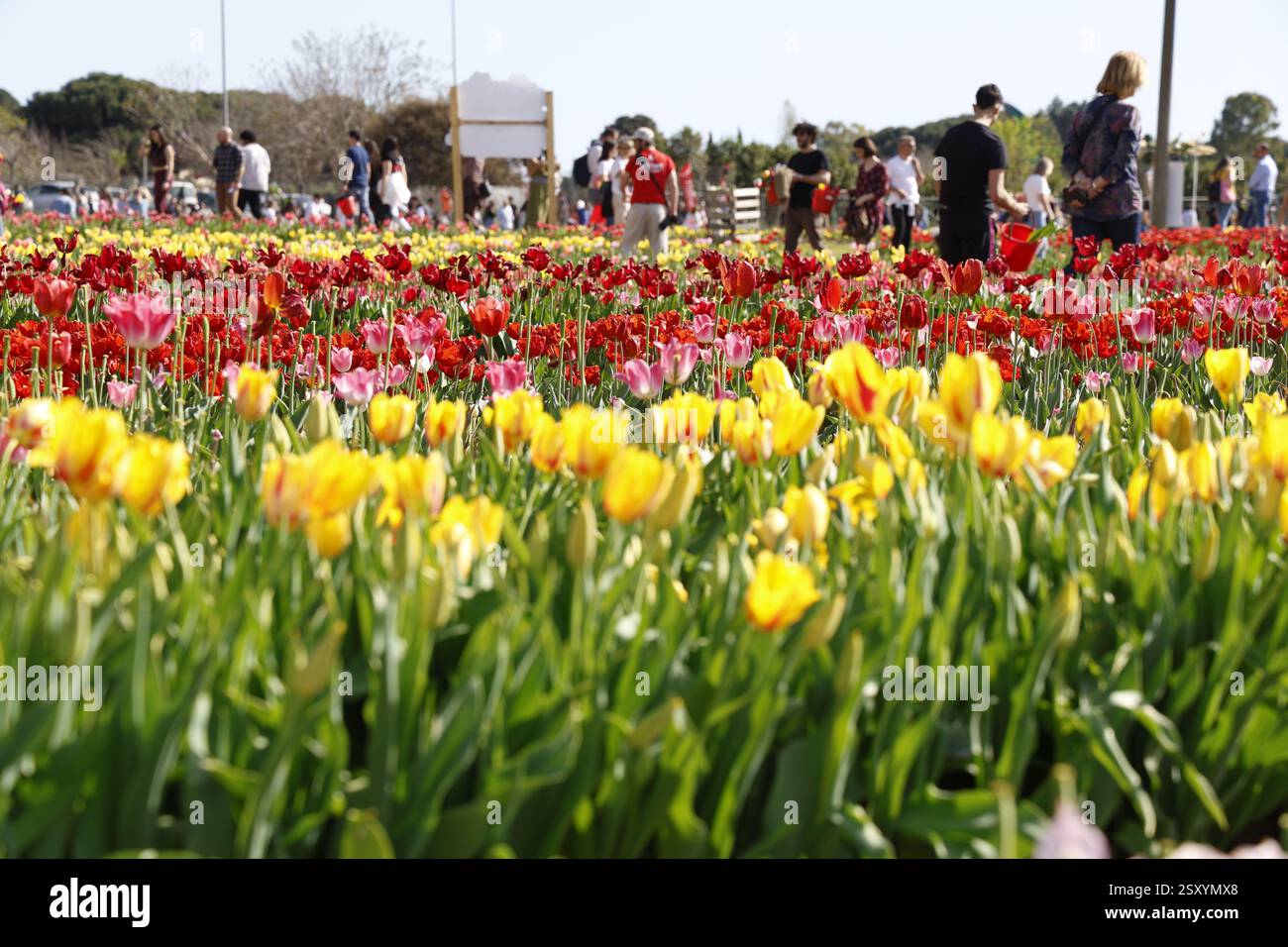 Roma foto hi-res stock photography and images - Alamy