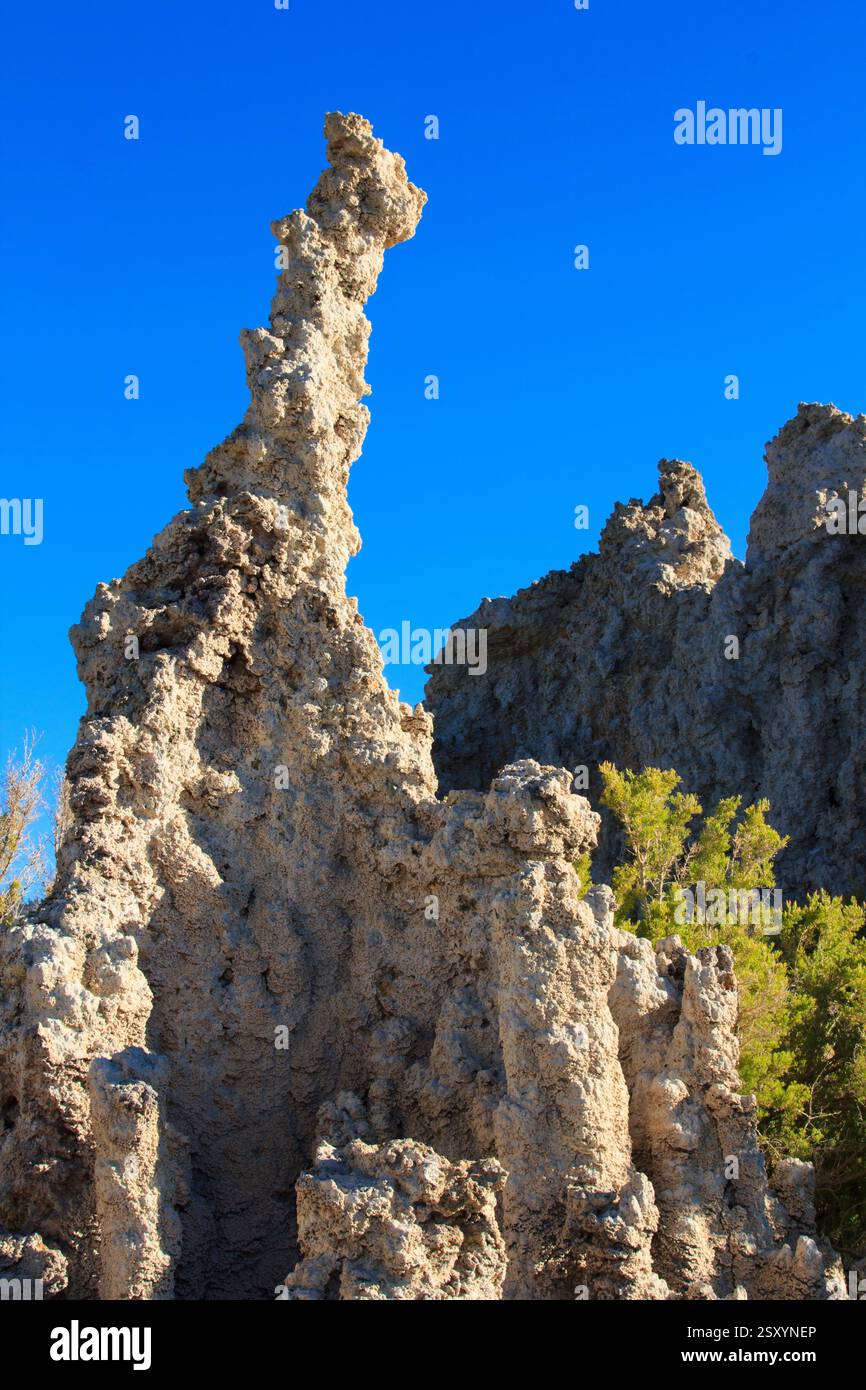 Large rock formation with a small tree growing out of it. The rock ...