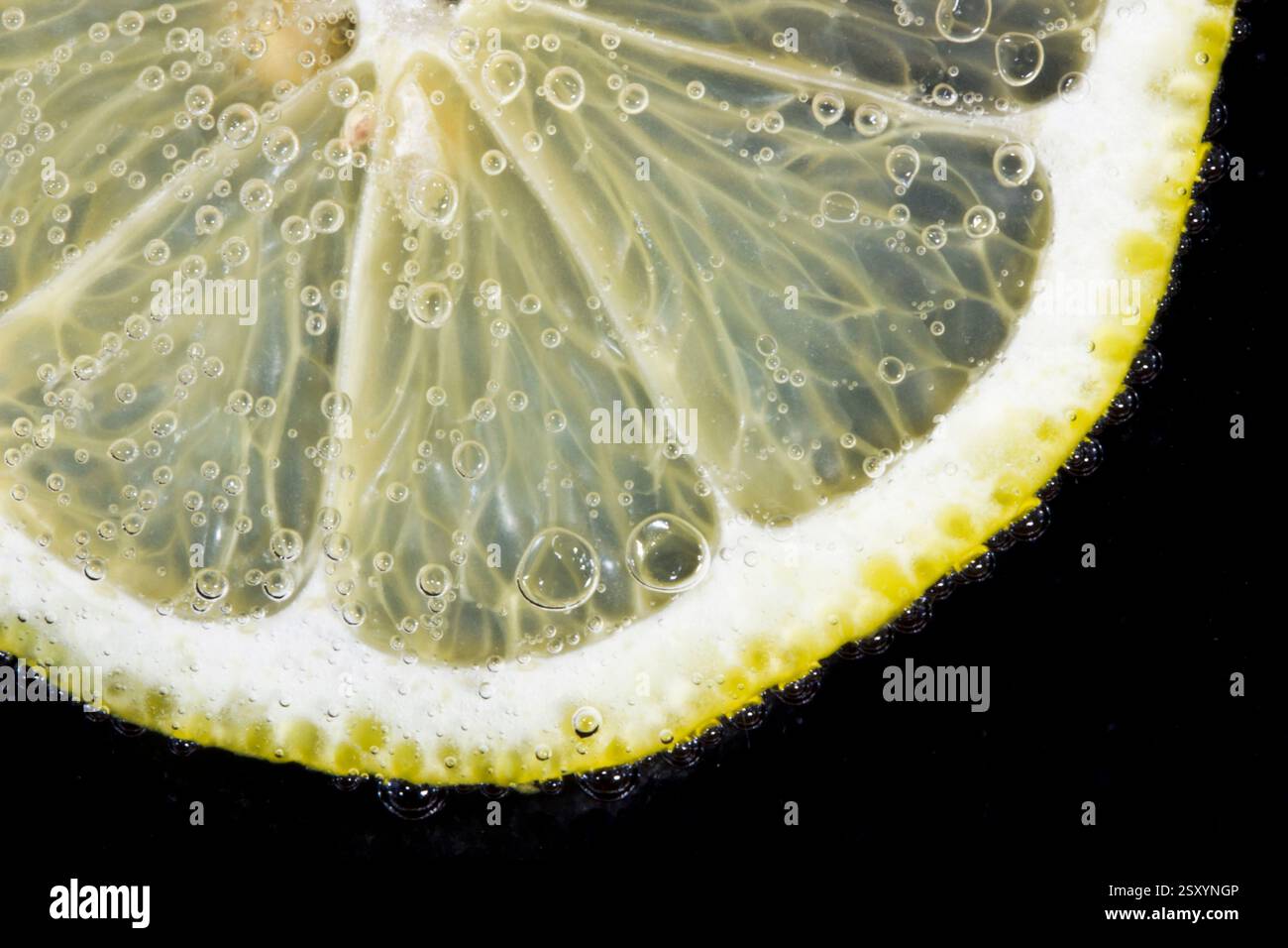 Close up of a lemon slice with water droplets on it. The water droplets are scattered across the ...