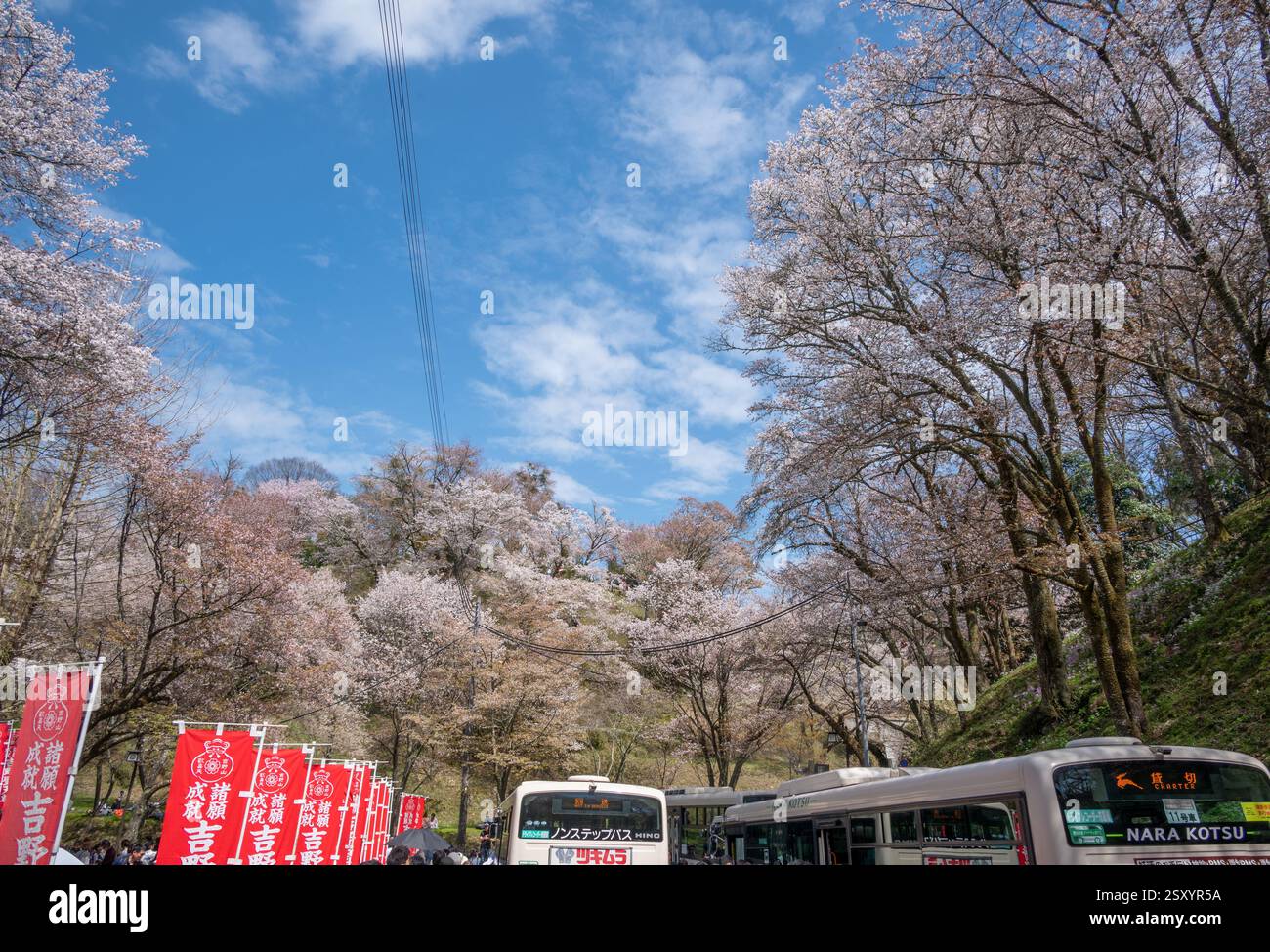 View of the entrance of the Mount Yoshino Hiking trails captured during ...