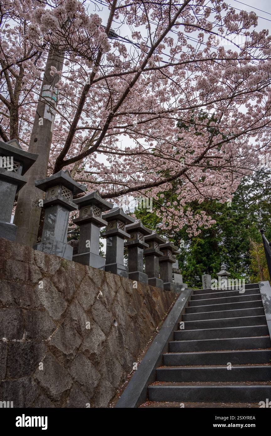 View of the temple complex of Tsubosaka- Dera, a temple with a giant ...