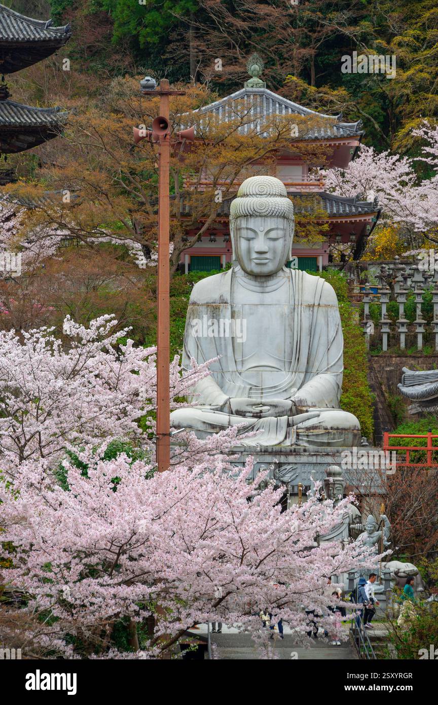 View of Tsubosaka- Dera , a temple with a giant Buddha statue in the ...