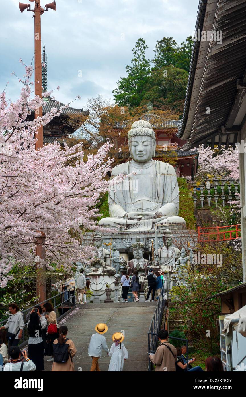 View of Tsubosaka- Dera , a temple with a giant Buddha statue in the ...