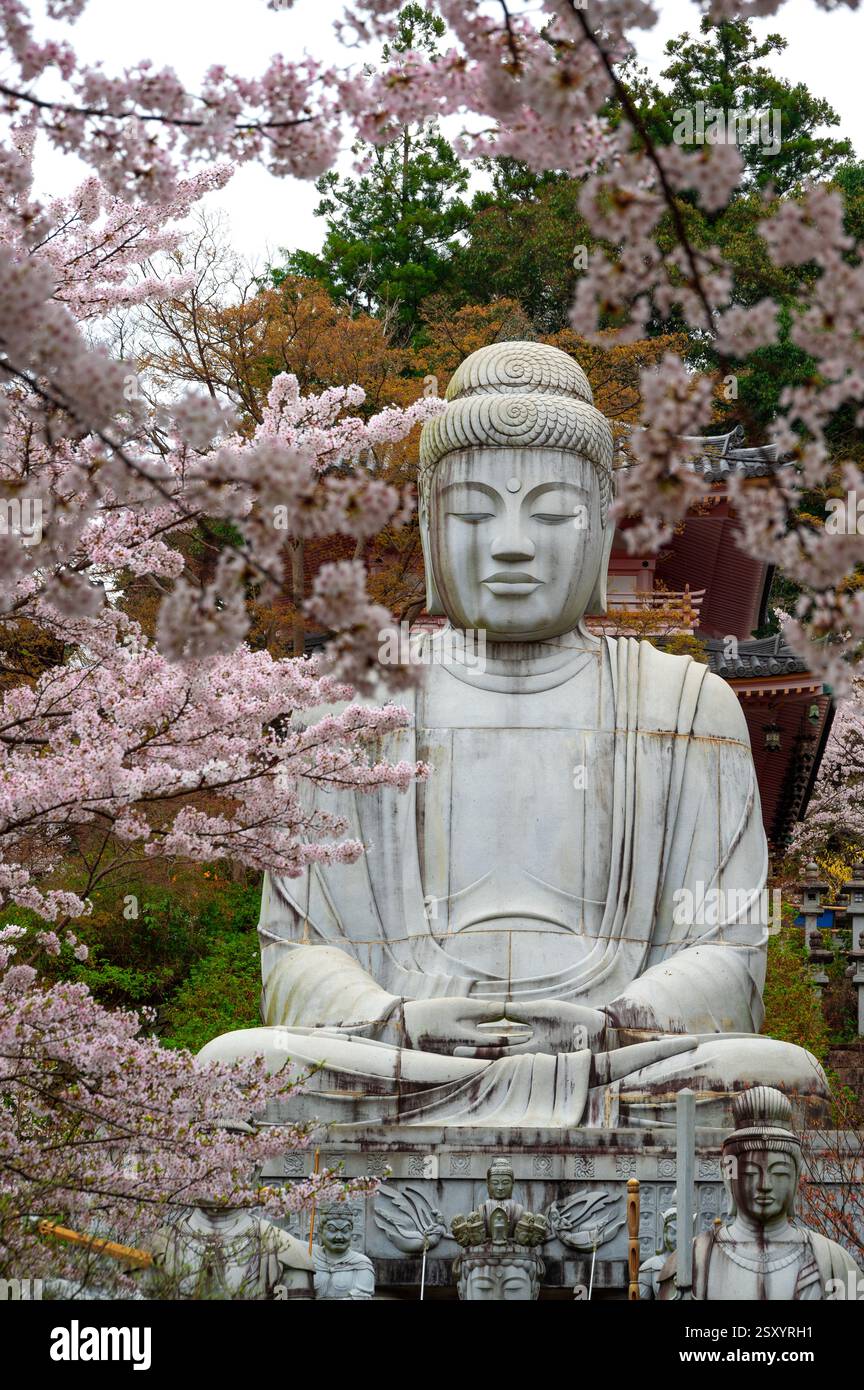 View of Tsubosaka-Dera, a temple with a giant Buddha statue in the ...