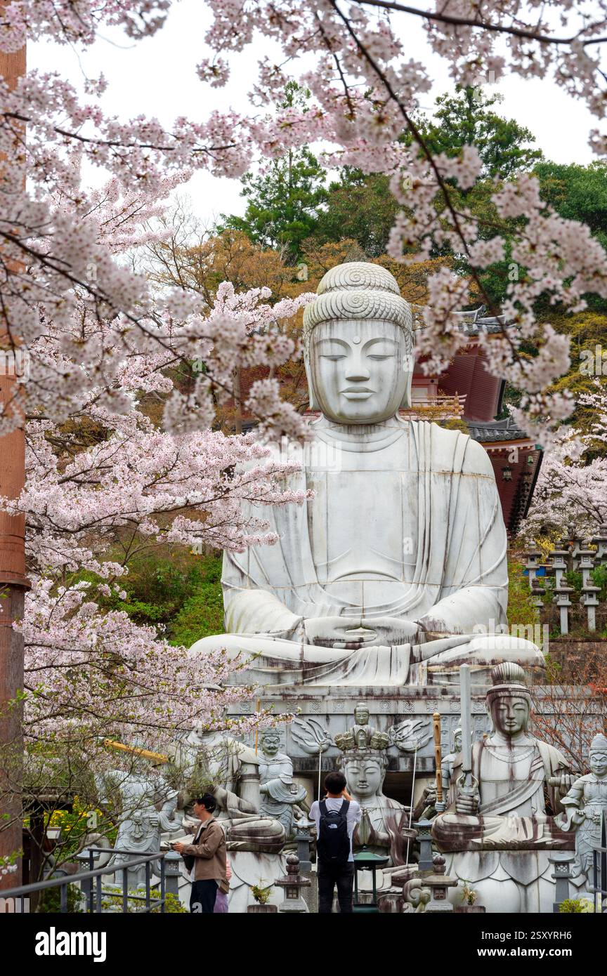 View of Tsubosaka- Dera , a temple with a giant Buddha statue in the ...