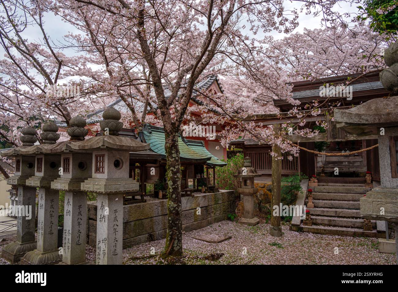 View of the temple complex of Tsubosaka- Dera, a temple with a giant ...