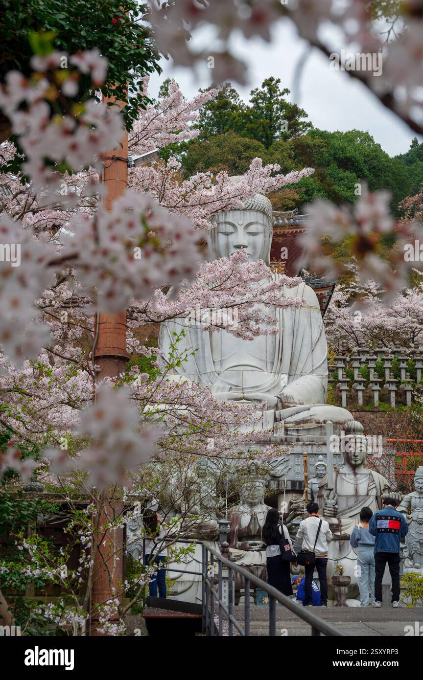 View of Tsubosaka- Dera , a temple with a giant Buddha statue in the ...