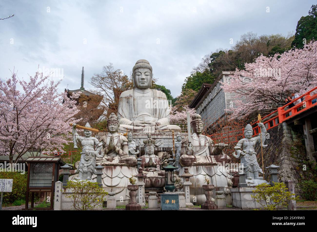 View of Tsubosaka- Dera , a temple with a giant Buddha statue in the ...