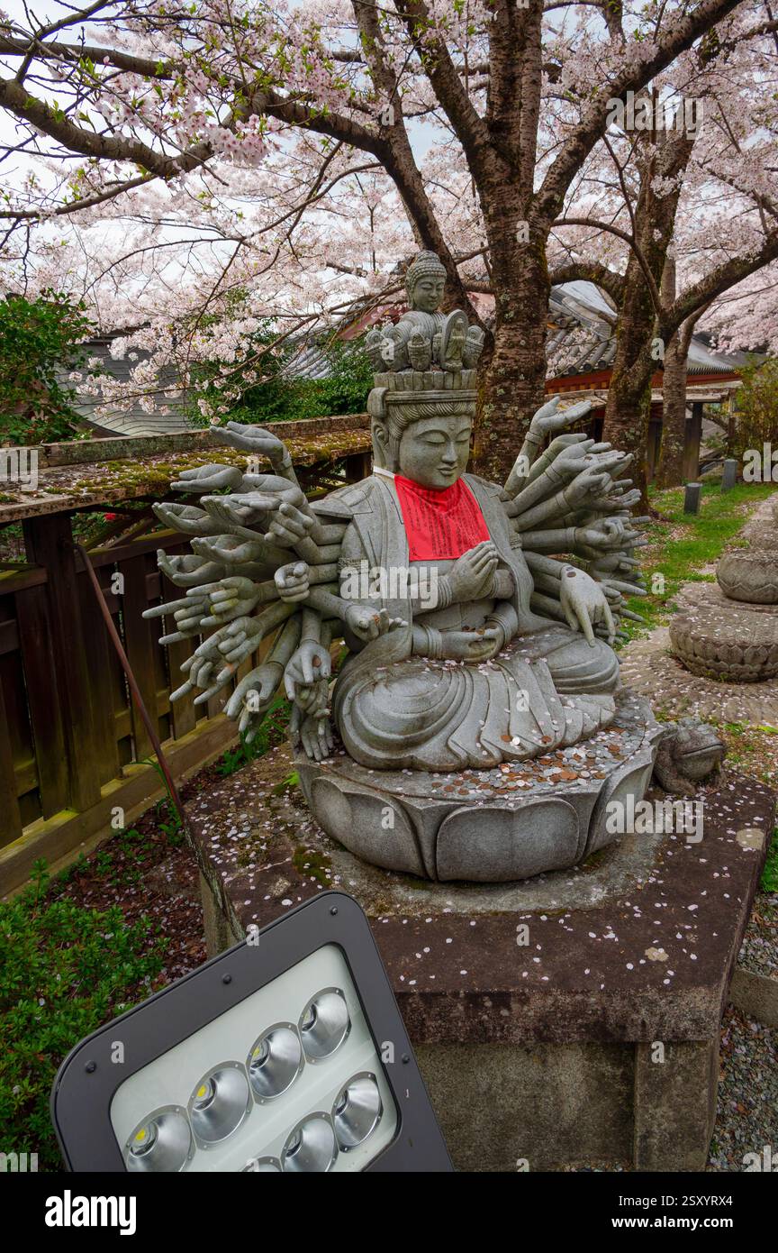 View of the stone statues inside the Tsubosaka- Dera, a temple with a ...