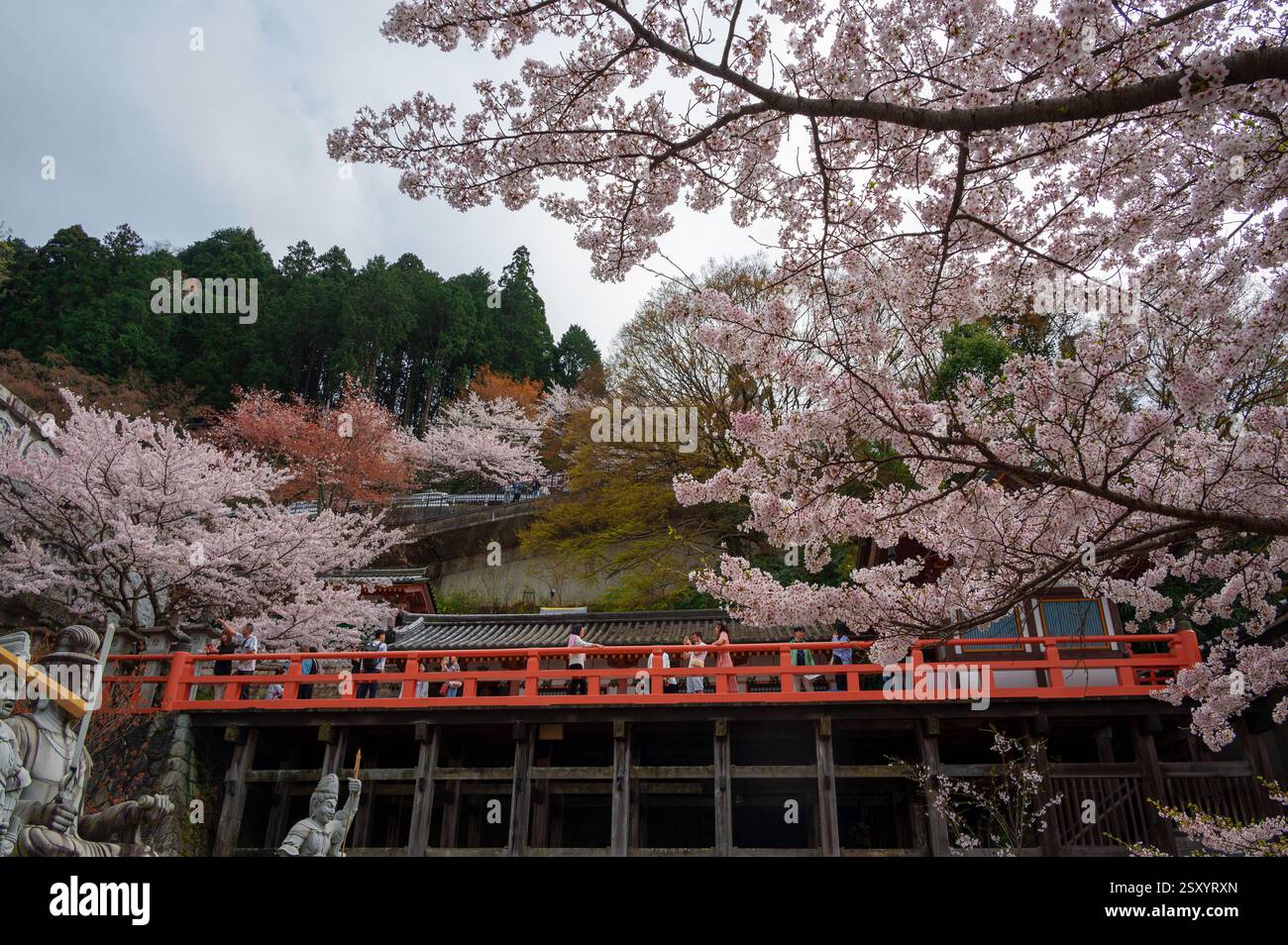 View of the temple complex of Tsubosaka- Dera, a temple with a giant ...