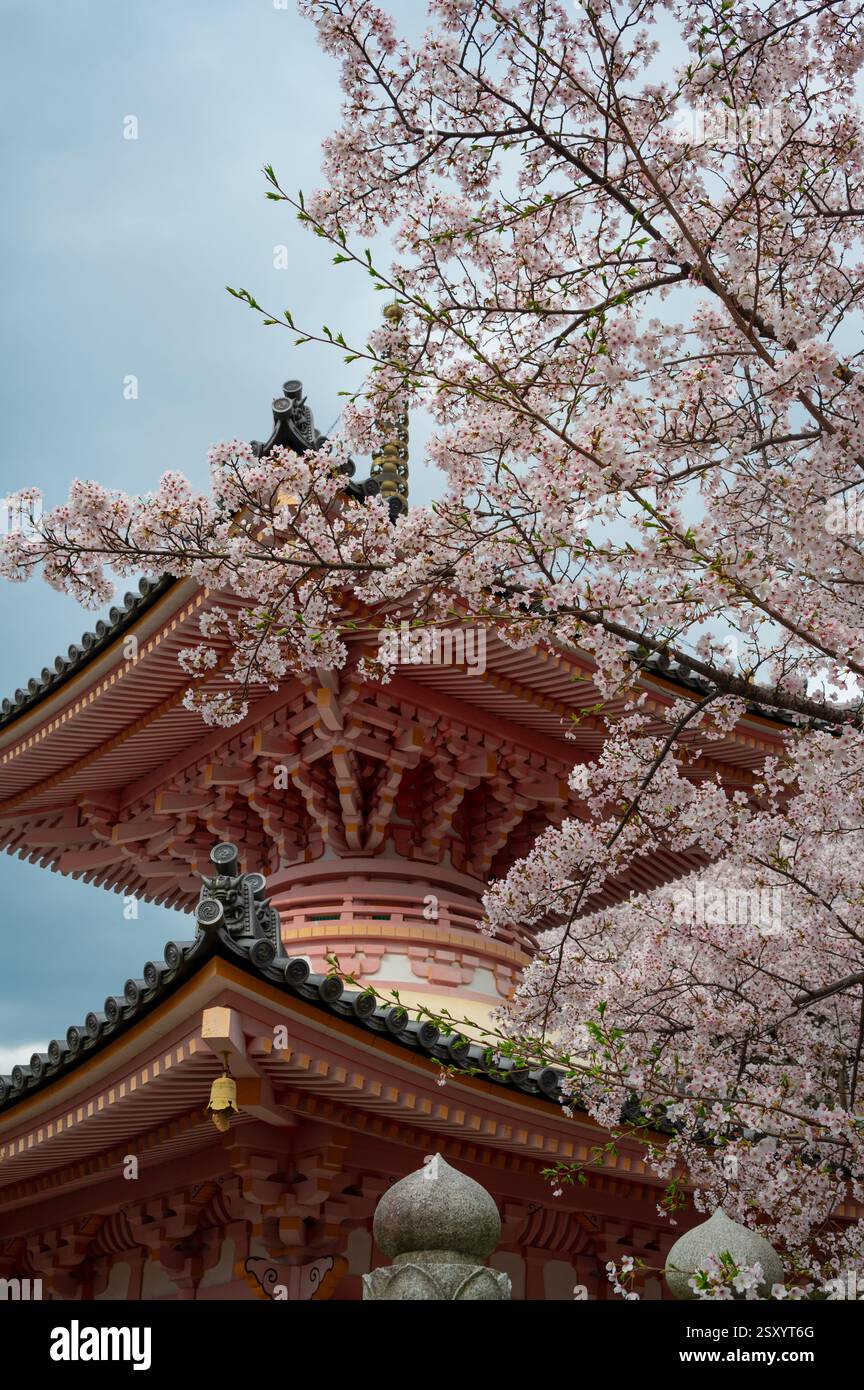 View of the temple complex of Tsubosaka- Dera, a temple with a giant ...