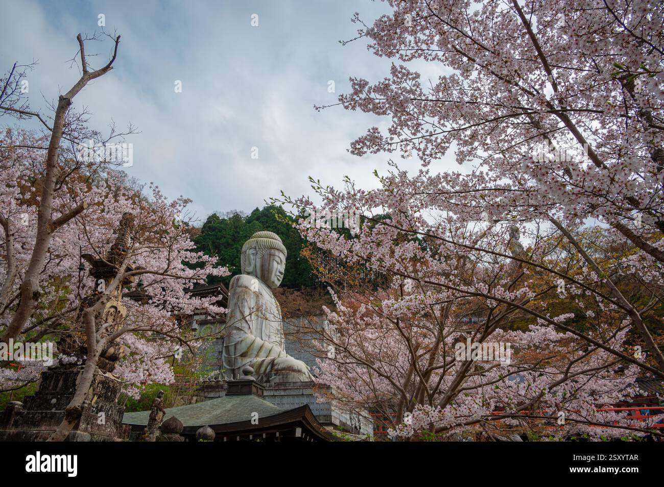 View of Tsubosaka- Dera , a temple with a giant Buddha statue in the ...